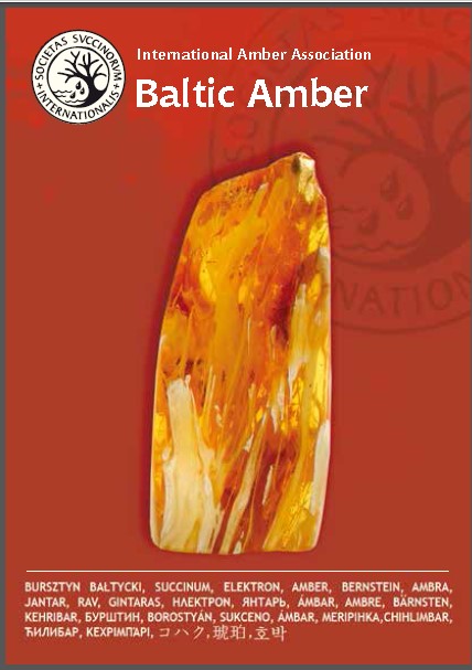 What Is Baltic Amber | Natural Baltic Amber